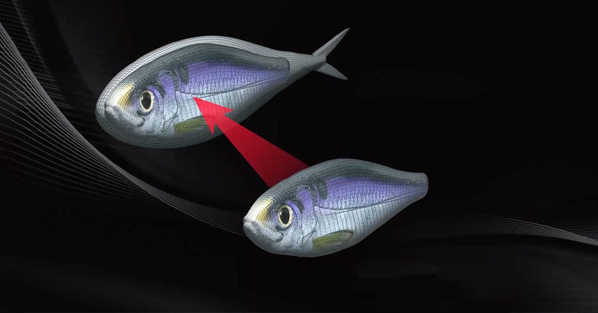 Kerfil : Technologies et innovations au service des pêcheurs